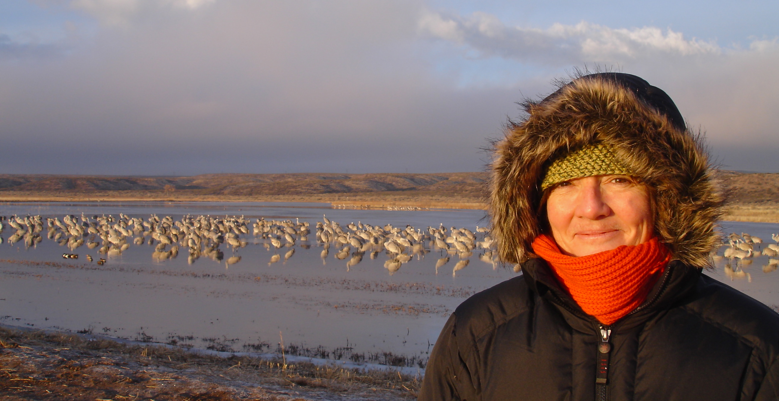 About – Histories Drawings Prints