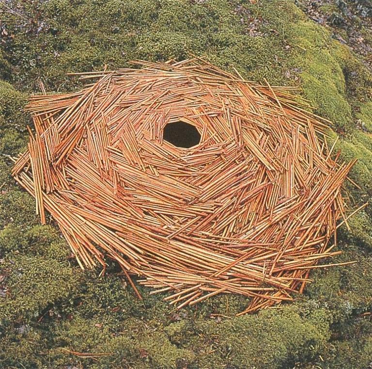 Andy Goldsworthy – Histories Drawings Prints